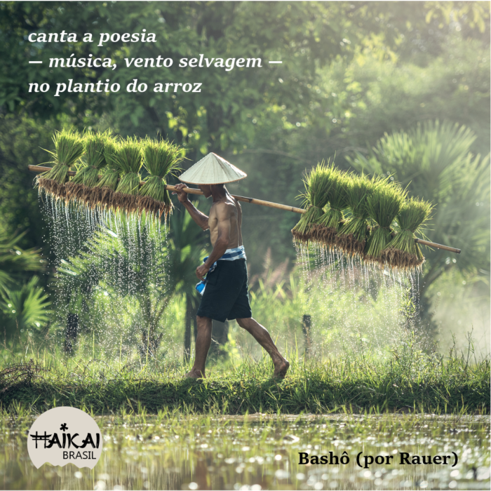 A ARTE DE ESCREVER 23 – Hokku, haikai, haicai, hai-kai: a nomenclatura ...
